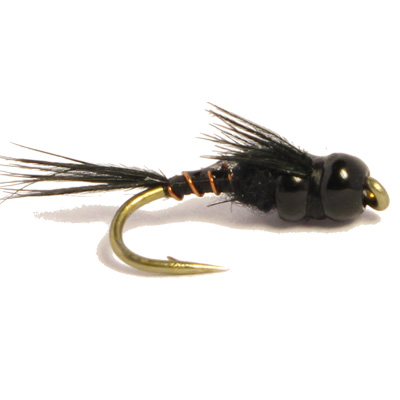 Two Bit Hooker Black X 2Tb: Flyshop NZ Ltd