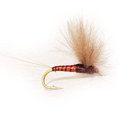 Cdc Comparadun - Mahogany: Flyshop NZ Ltd
