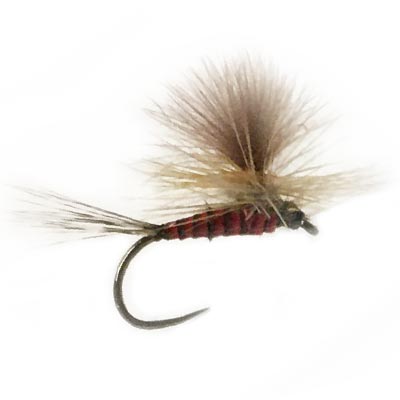Super Lite Red Quill Bl: Flyshop NZ Ltd