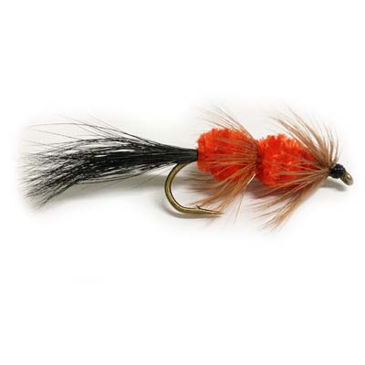 Red Setter: Flyshop NZ Ltd