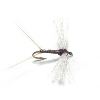 Spent Spinner (Deleatidum): Flyshop NZ Ltd