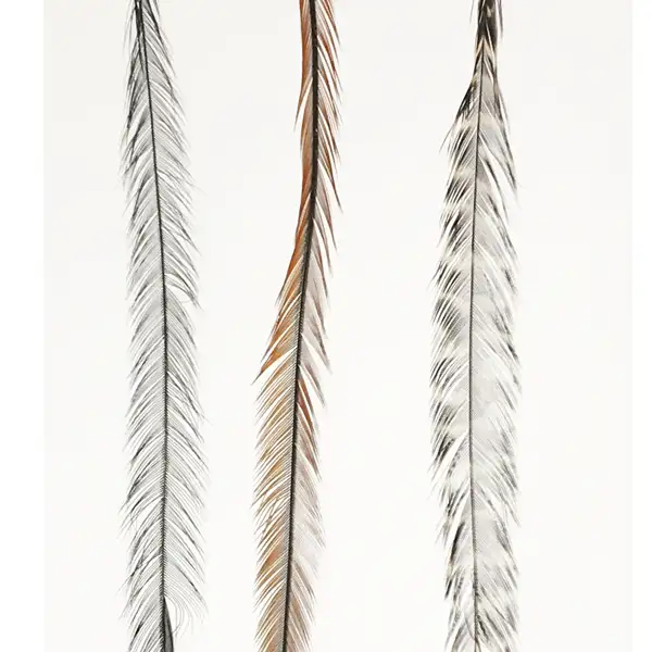 Dry Fly Hackles: Flyshop NZ Ltd