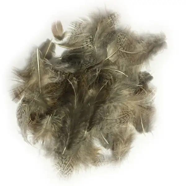 Premium Hungarian Partridge Feathers (Natures Spirit): Flyshop NZ Ltd