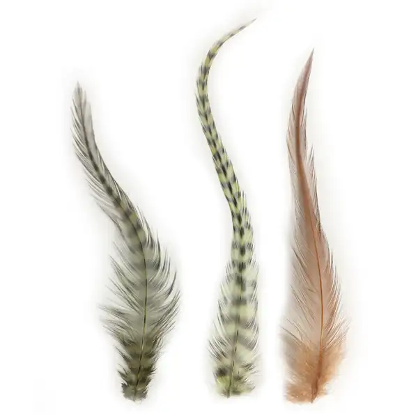 Woolly Bugger Hackles: Flyshop NZ Ltd