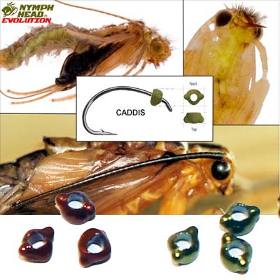Caddis Nymph Heads: Flyshop NZ Ltd