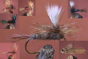 Nz Fly Selection: Flyshop NZ Ltd