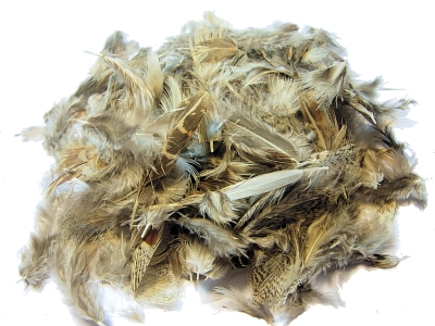 Premium Hungarian Partridge Feathers (Updated): Flyshop NZ Ltd