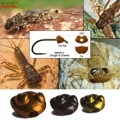 Mayfly Nymph Heads: Flyshop NZ Ltd