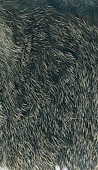 Rabbit Fur Patch: Flyshop NZ Ltd