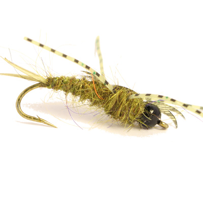 Rubber Stonefly Green Tb (Dozen): Flyshop NZ Ltd