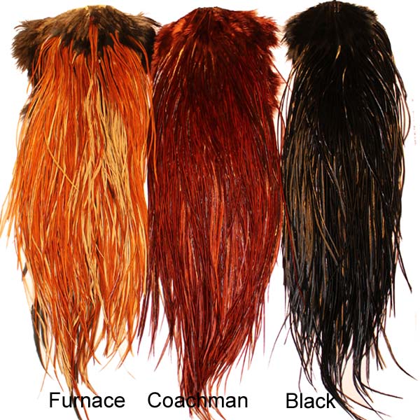 Whiting Saddle Hackles: Flyshop NZ Ltd